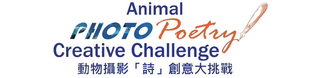Animal Photopoetry Creative Challenge